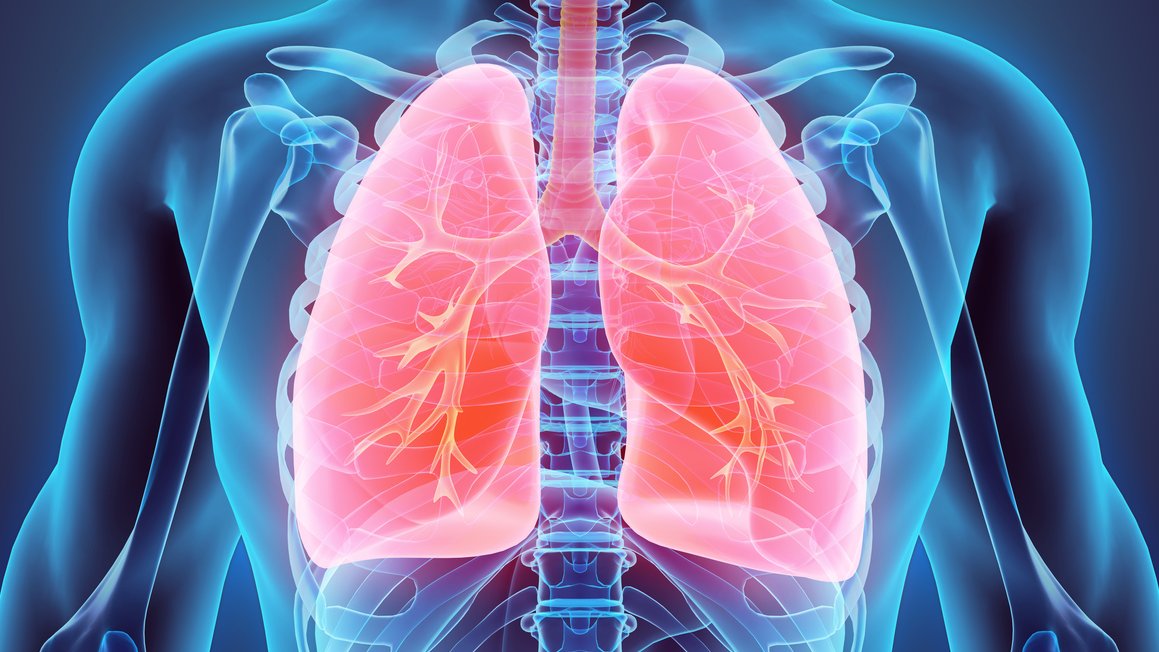 Andningen – läromedel i biologi åk 4,5,6